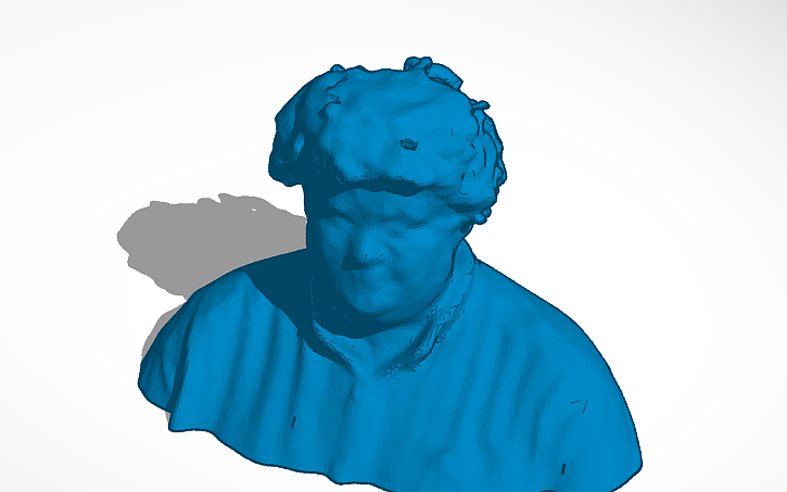 3D design my head 1.3 | Tinkercad