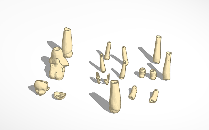 3D design bjd doll - Tinkercad