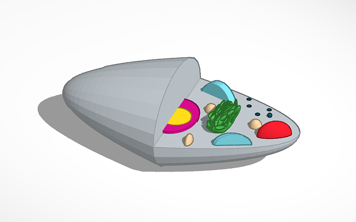 3D design Smooth Muscle Cell | Tinkercad
