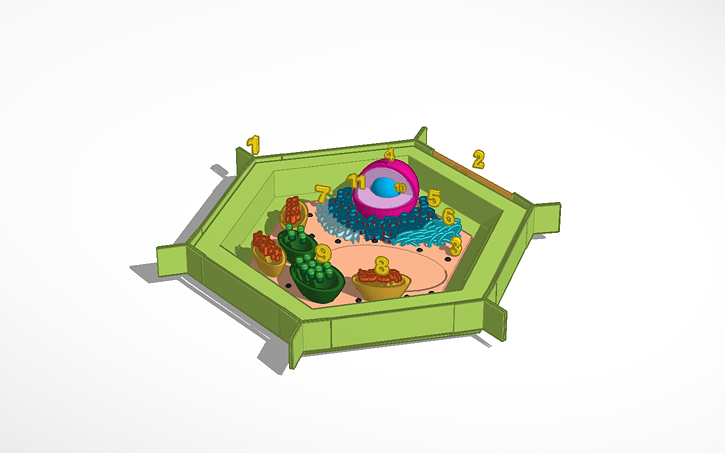 3D design Powerful Leelo AP Biology | Tinkercad