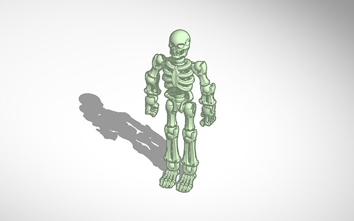3D design Human Skeleton - Tinkercad