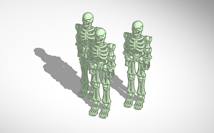 3D design Skeletons - Tinkercad