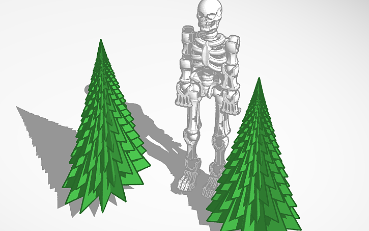 3D design human bones - Tinkercad