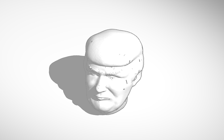 3D design DONALD TRUMP - Tinkercad