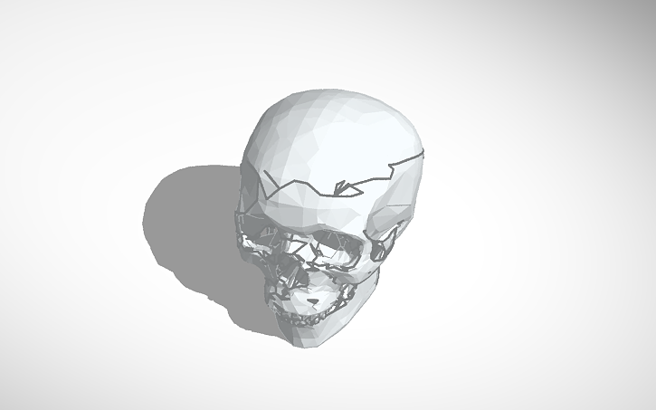 3D design Skeleton Skull - Tinkercad