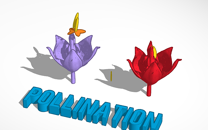 3D design Pollination - Tinkercad