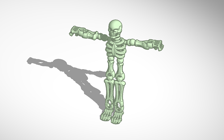3D design Human skeleton - Tinkercad