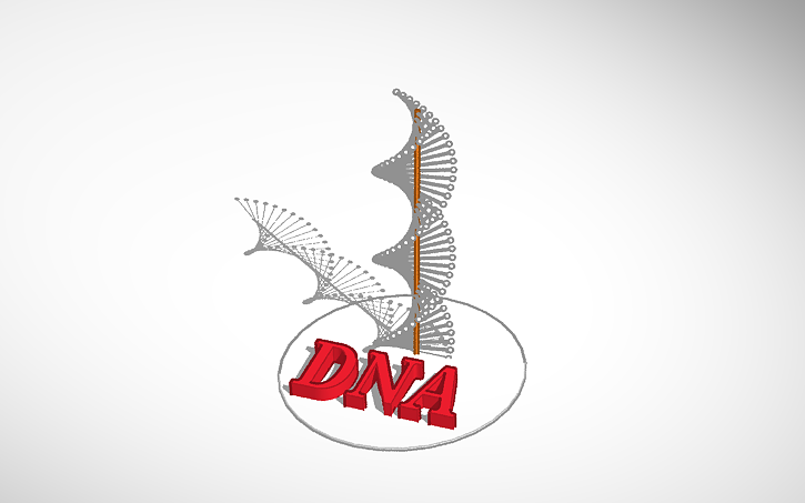 3D design DNA L+D | Tinkercad