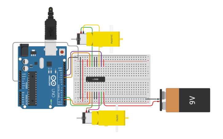 Circuit design Shiny Rottis - Tinkercad