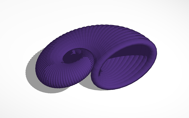 3D design Kirkpatrick.Colin.Shell.Blick - Tinkercad