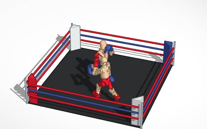 3D design Tyee's Boxing Match | Tinkercad