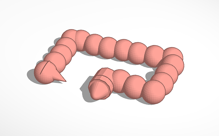 3D design Large Intestine - Tinkercad