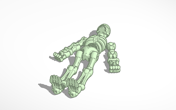 3D design Skelly ragdoll ragdoll - Tinkercad