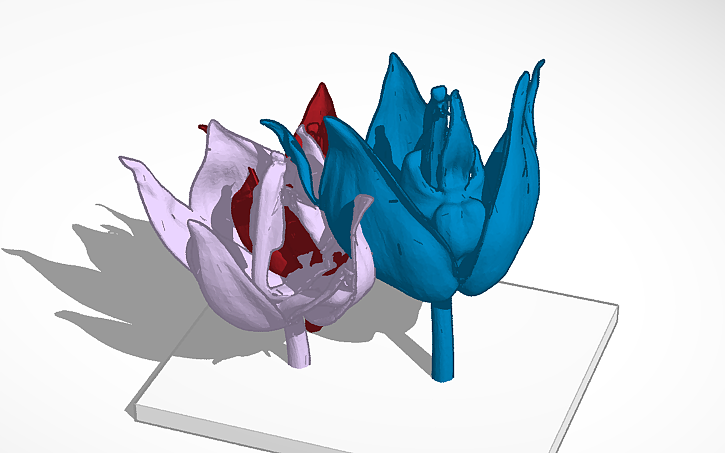 3D design orchid - Tinkercad