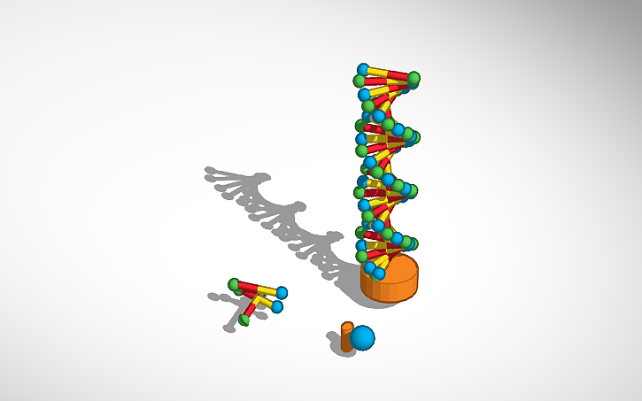 3D design DNA - Tinkercad