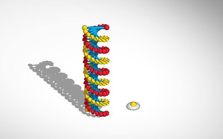 3D design DNA - Tinkercad