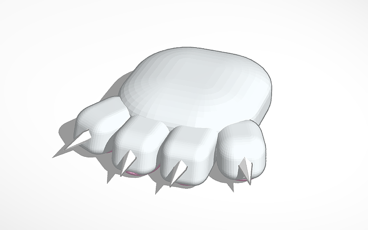 3d Design Realistic Paw Tinkercad