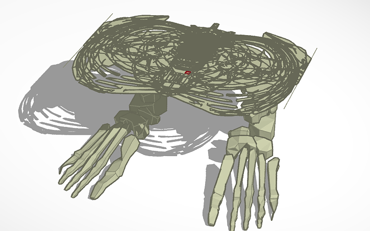 3D design human skeleton | Tinkercad