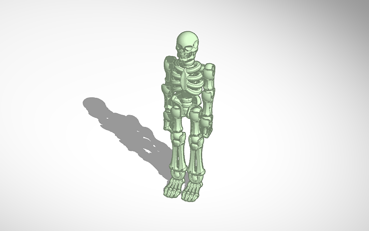 3D design Skeleton - Tinkercad