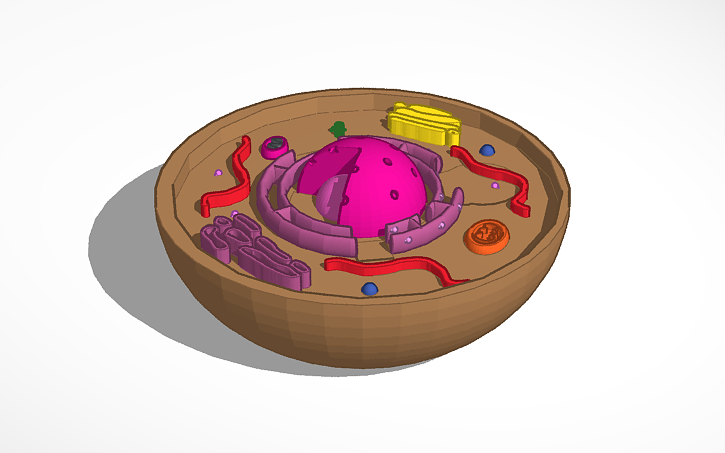 3D design animal cell - Tinkercad