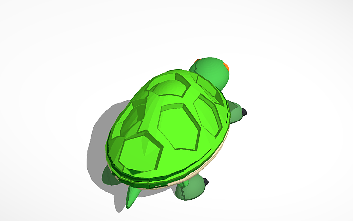 3D design Box Turtle - Tinkercad