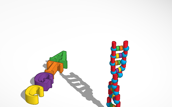 3D design DNA Model | Tinkercad