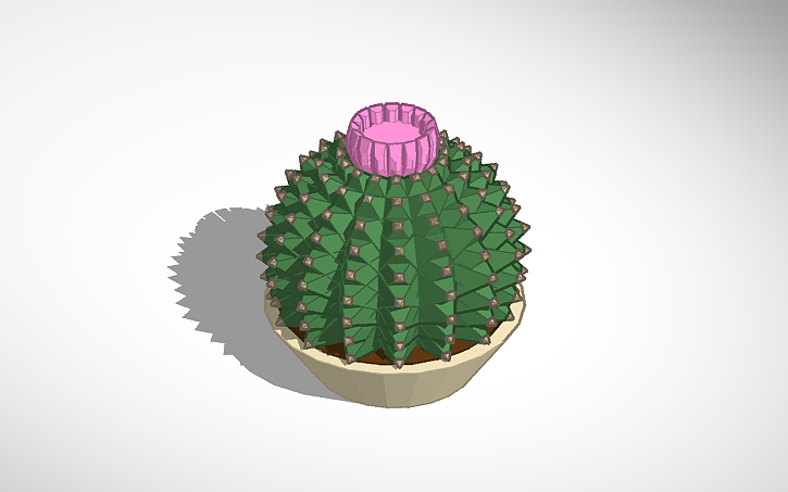 3D design cactus - Tinkercad