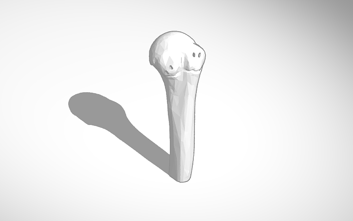 3D design Usask - Left shoulder: Humerus - Tinkercad