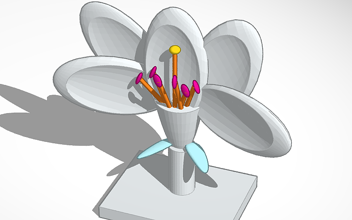 3D design Parts of a flower - Tinkercad
