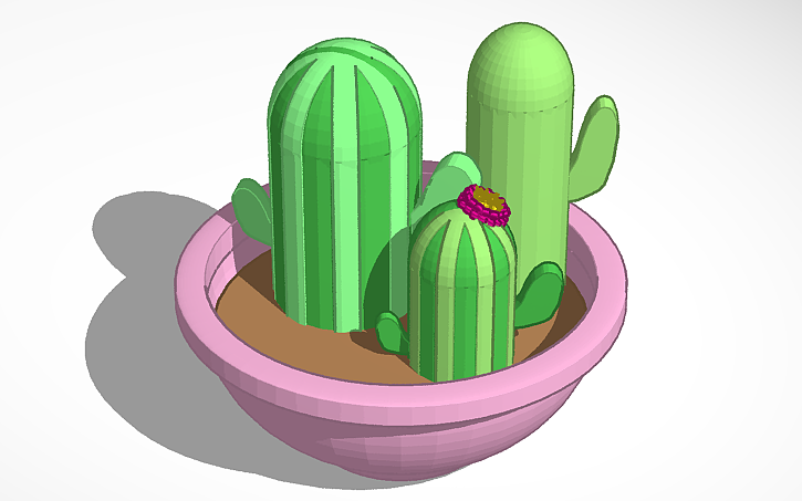 3D design Cacti - Tinkercad