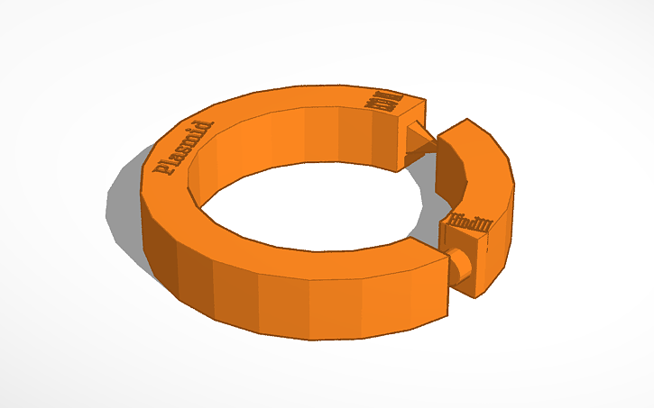 3D design Plasmid - Tinkercad
