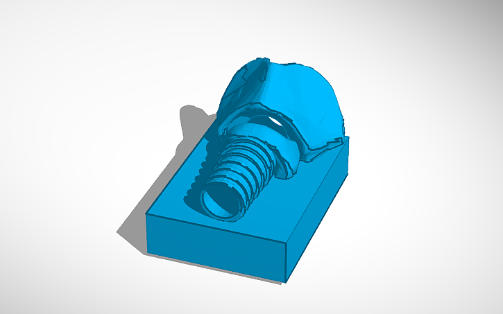 3D design Paediatric Cricoid Trainer - Tinkercad