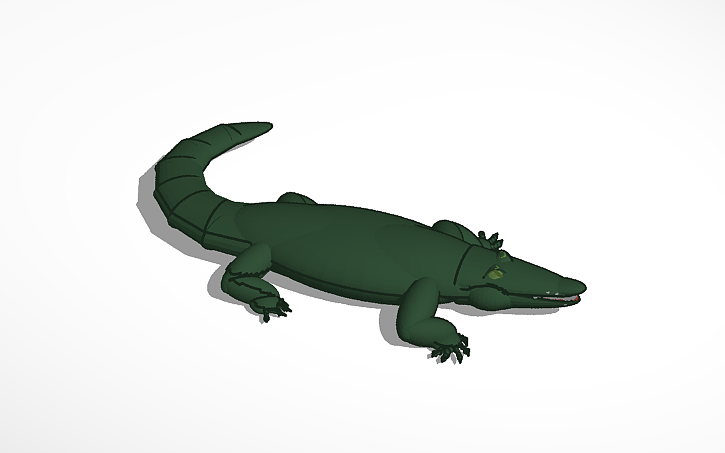 3D design Alligator - Tinkercad