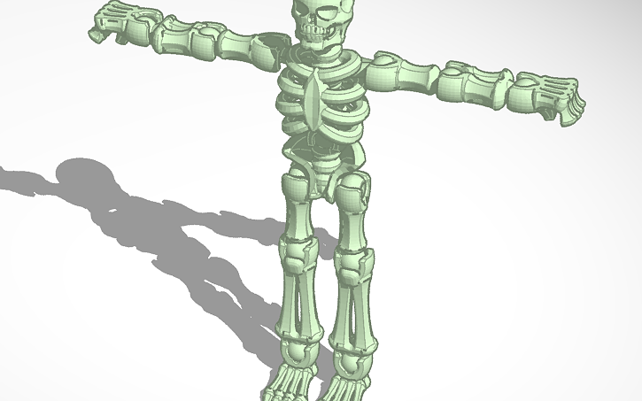 3D design Skeleton - Tinkercad