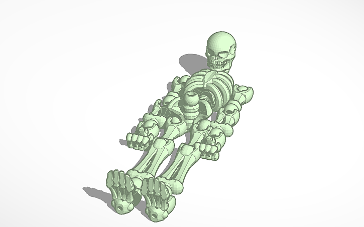 3D design human skeleton - Tinkercad