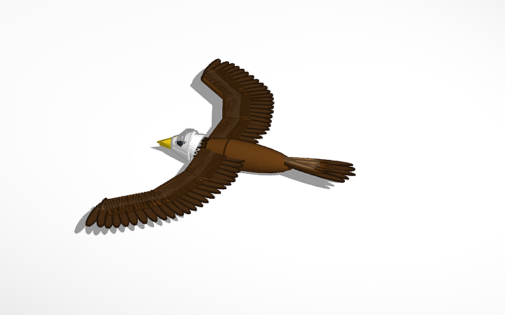 3D design Copy of Eagle - Tinkercad