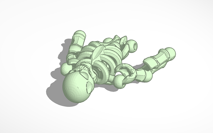 3D design SKELETON BODY - Tinkercad