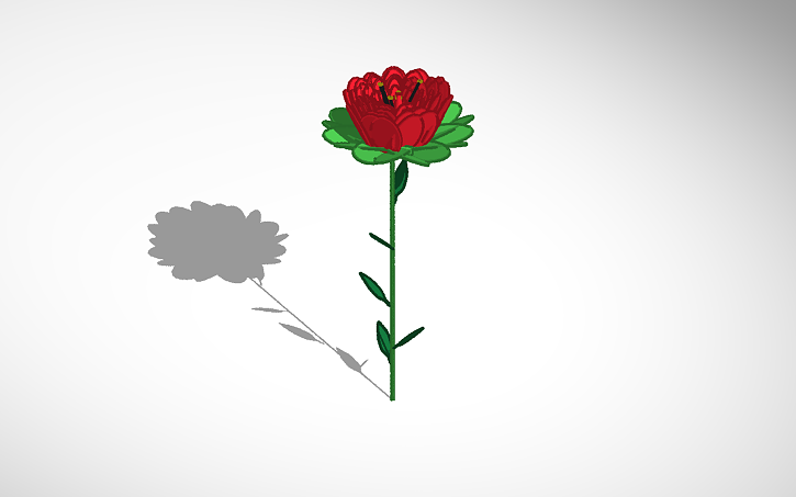 3D design Flower Design - Rose+Vague Idea of Stem | Tinkercad