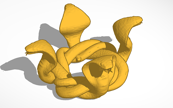 3D design Snakes - Tinkercad