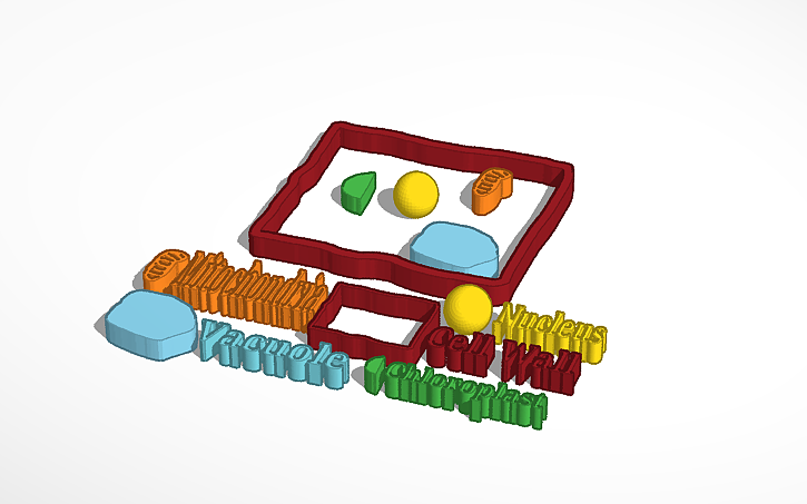 3D design Anish's Plant Cell Tinker cad Project - Tinkercad