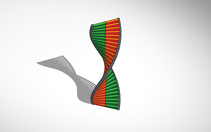 3D design Double Helix - Tinkercad