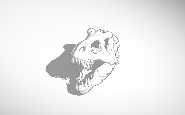 3D design T-Rex Skull - Tinkercad