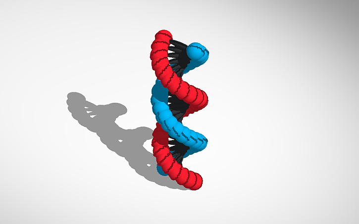 3D design ADN - Tinkercad