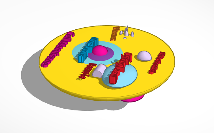 3D design Katie Animal Cell | Tinkercad
