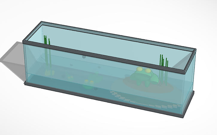 3D design Ecosystem- lifecycle of a frog - Tinkercad
