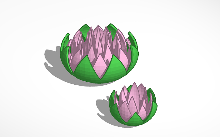 3D design Lotus - Tinkercad