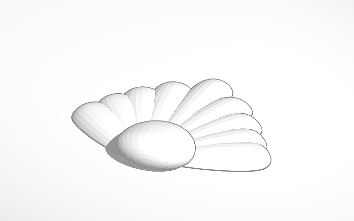 3D design How to Create a Clam Shell - Tinkercad