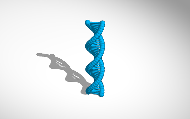 3D design DNA | Tinkercad