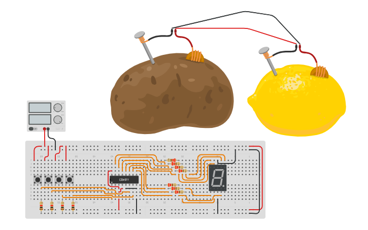 Circuit design 7 Seg - Tinkercad