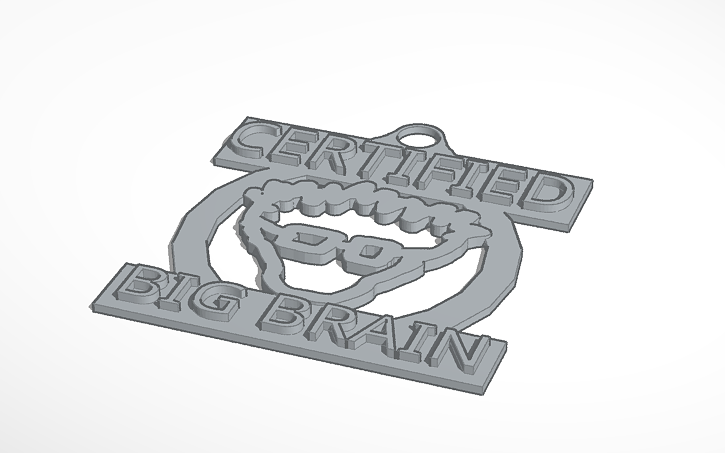 3D design Certified Big Brain | Tinkercad